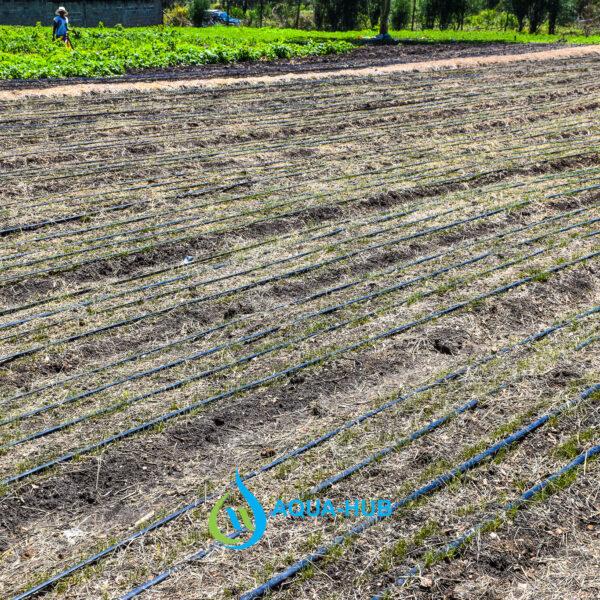 Overhead Sprinkler Irrigation by Aqua Hub, Kenya : 0790719020