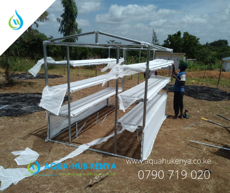 Solar Dryers in Kenya | Vegetables dryers by Aqua Hub Kenya
