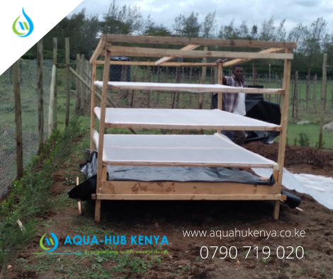 Solar Dryers in Kenya | Vegetables dryers by Aqua Hub Kenya