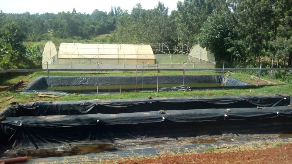 Dam Liners Prices in Kenya : Dam Lining| 0790719020