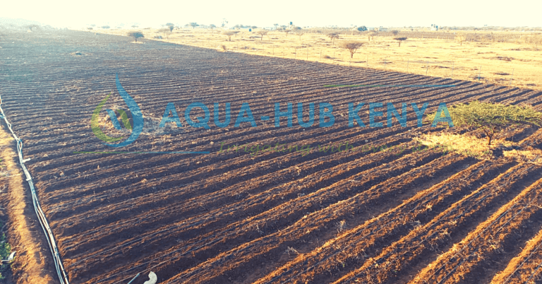 Drip irrigation in Kenya | Best Irrigation Systems in Kenya