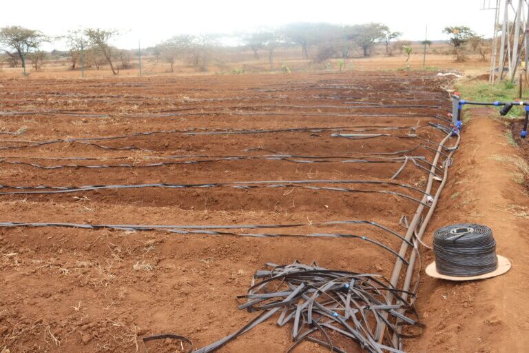 Drip Lines Prices in Kenya |Call : 0790719020 | Aqua Hub KE