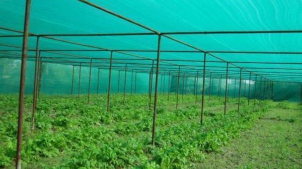 Affordable Shade Nets in Kenya | Aqua Hub Kenya | 0790719020