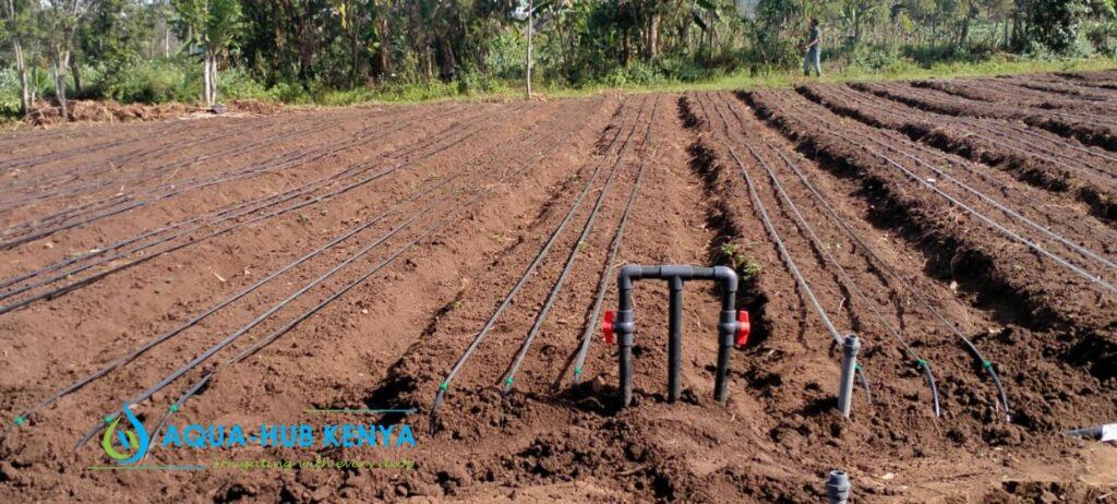 Drip Irrigation Systems in Kenya | Aqua Hub| 0790719020