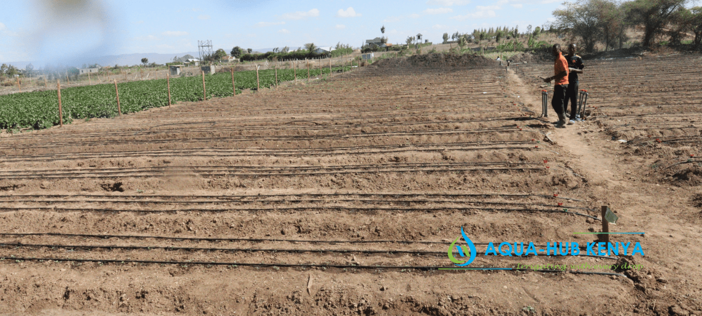 Drip Irrigation: Sustainable Agriculture