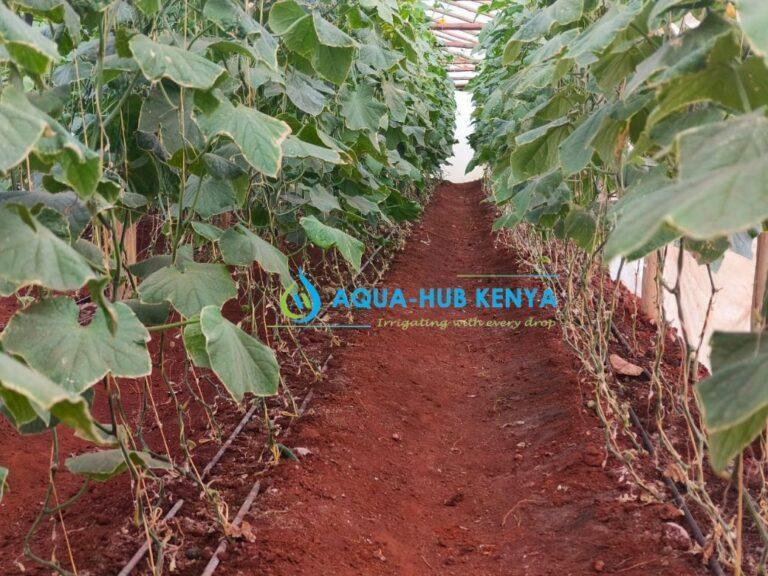 Drip Lines Prices in Kenya |Call : +254790719020 | Aqua Hub KE