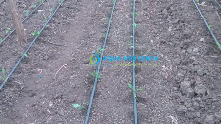 Quarter-Acre Drip Kits in Kenya | Aqua Hub LTD| 0790719020