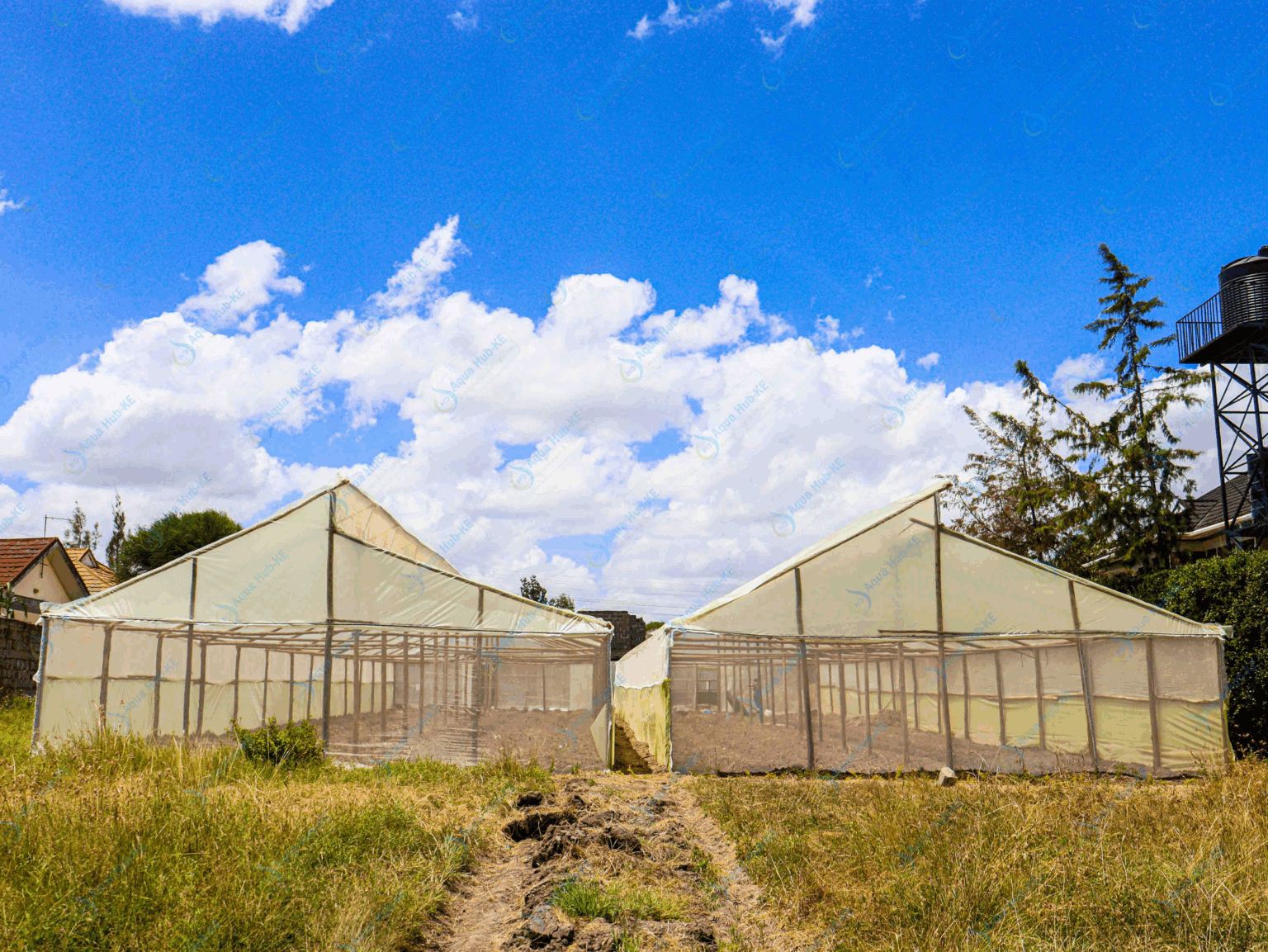 Insect Nets for Agriculture in Kenya | Best quality | Call 0790719020